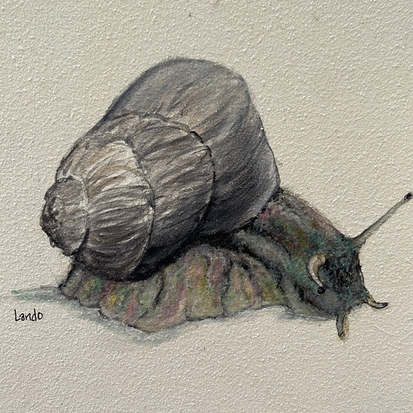 Art | Snail Painting Original Art By Landon Morgan | Poshmark